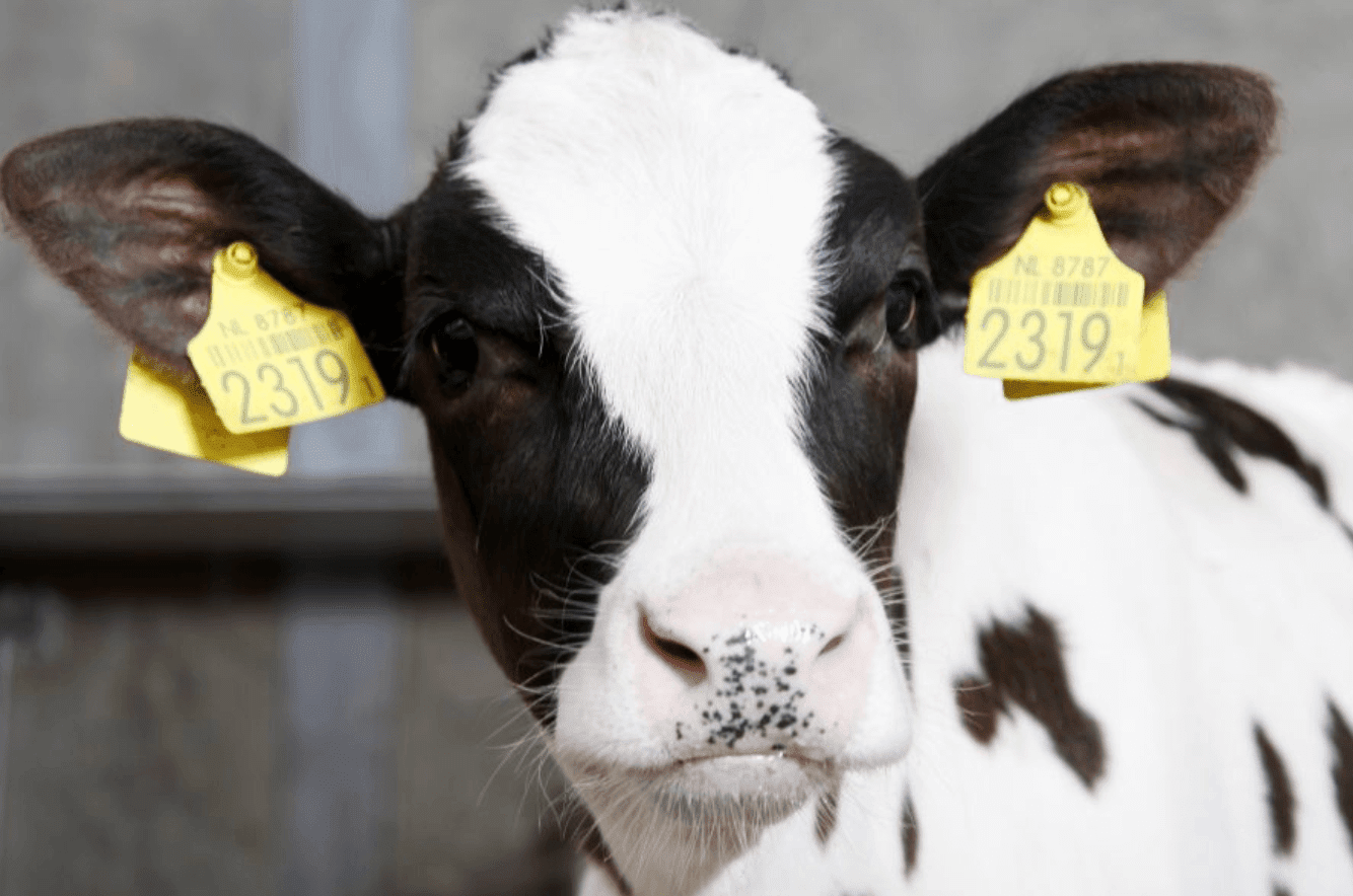 Projecten - Cool Construct